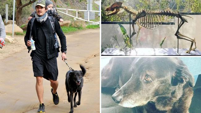 Blum čuva skelet mrtvog psa u kući | BN