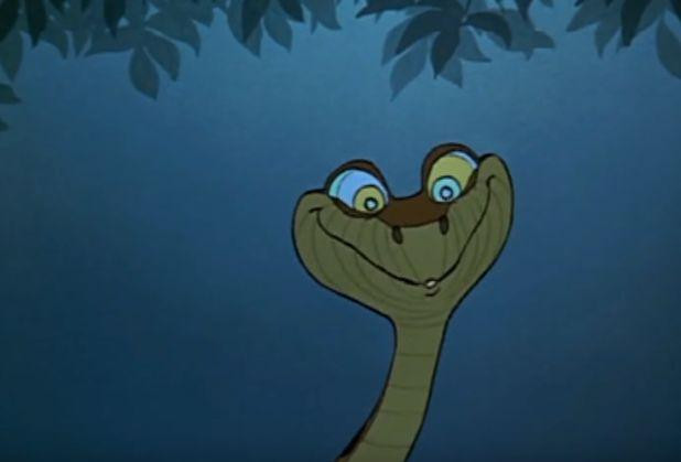 Razlog zašto se kaže - pije kao smuk! | BN