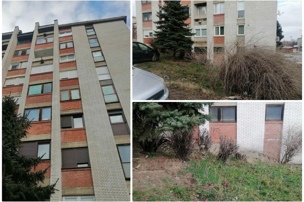 Jeziva ispovijest žene koja je vidjela pad oca i sina | BN Jeziva ispovijest žene koja je vidjela pad oca i sina | BN