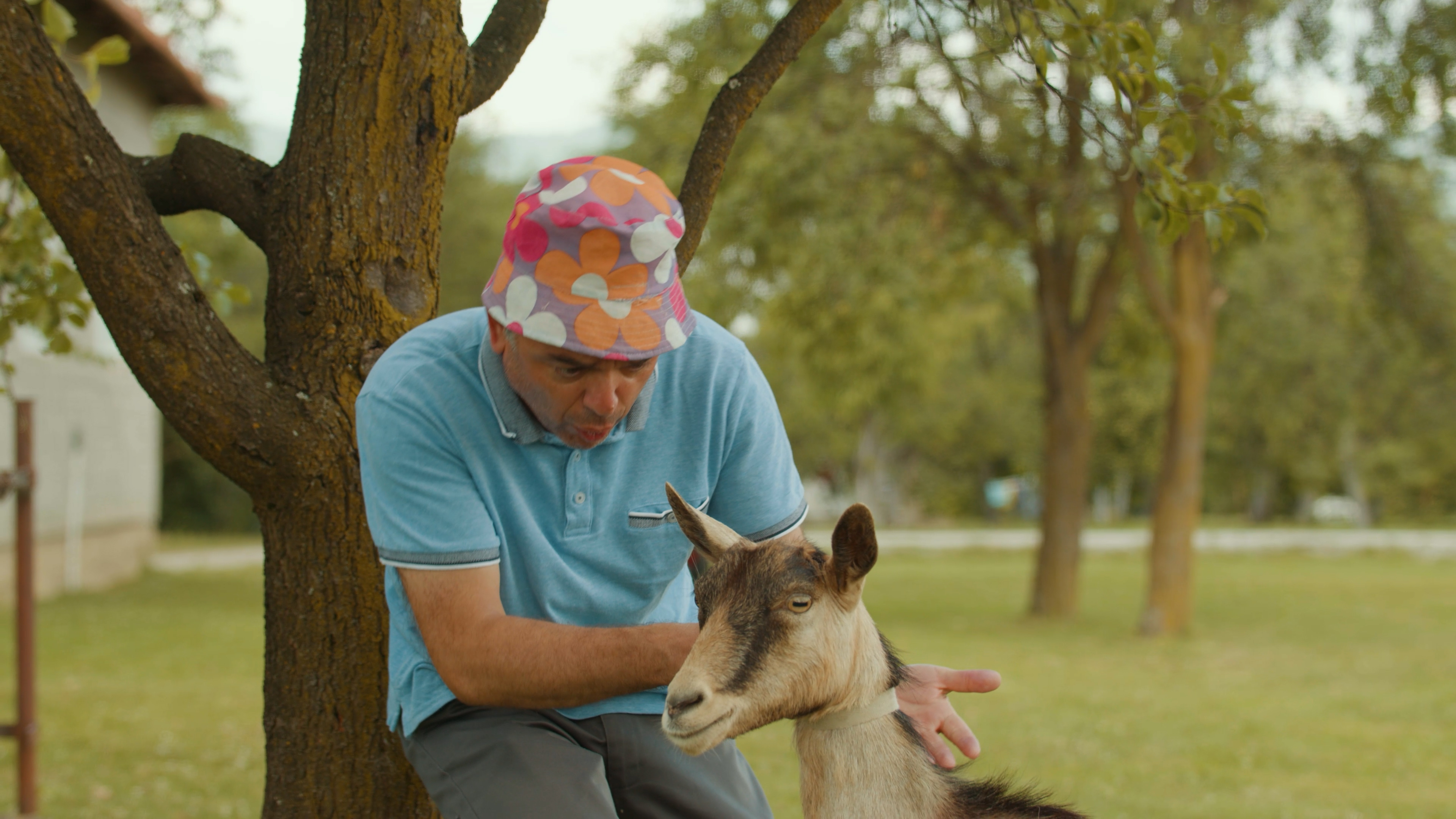Nova epizoda "Dobro jutro, komšija" na BN TV | BN