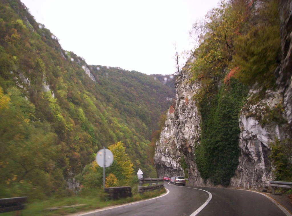 Oprezno voziti između BL i Jajca - oborena stabla | BN