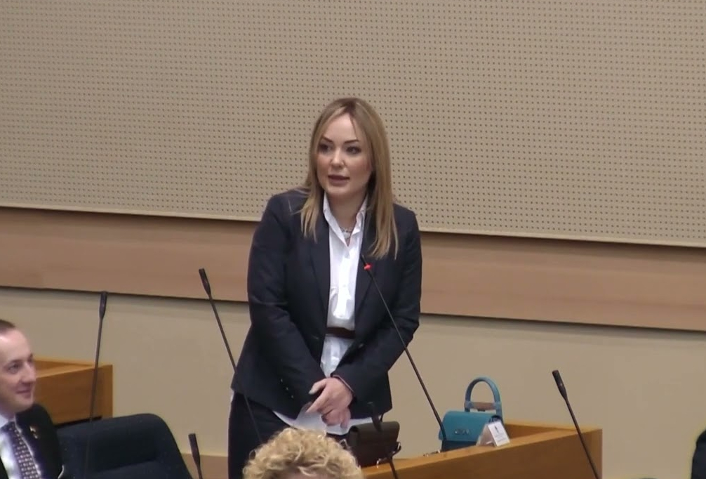 NS RS treba hitno da reaguje i zabrani rudarenje | BN