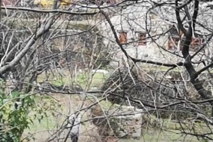 Iz rijeke izvučeno tijelo i drugog mladića iz Stoca | BN