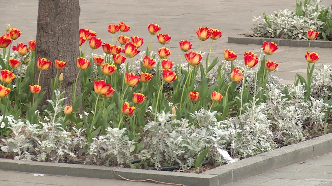 I danas pretoplo, temperatura do 31 stepen | BN