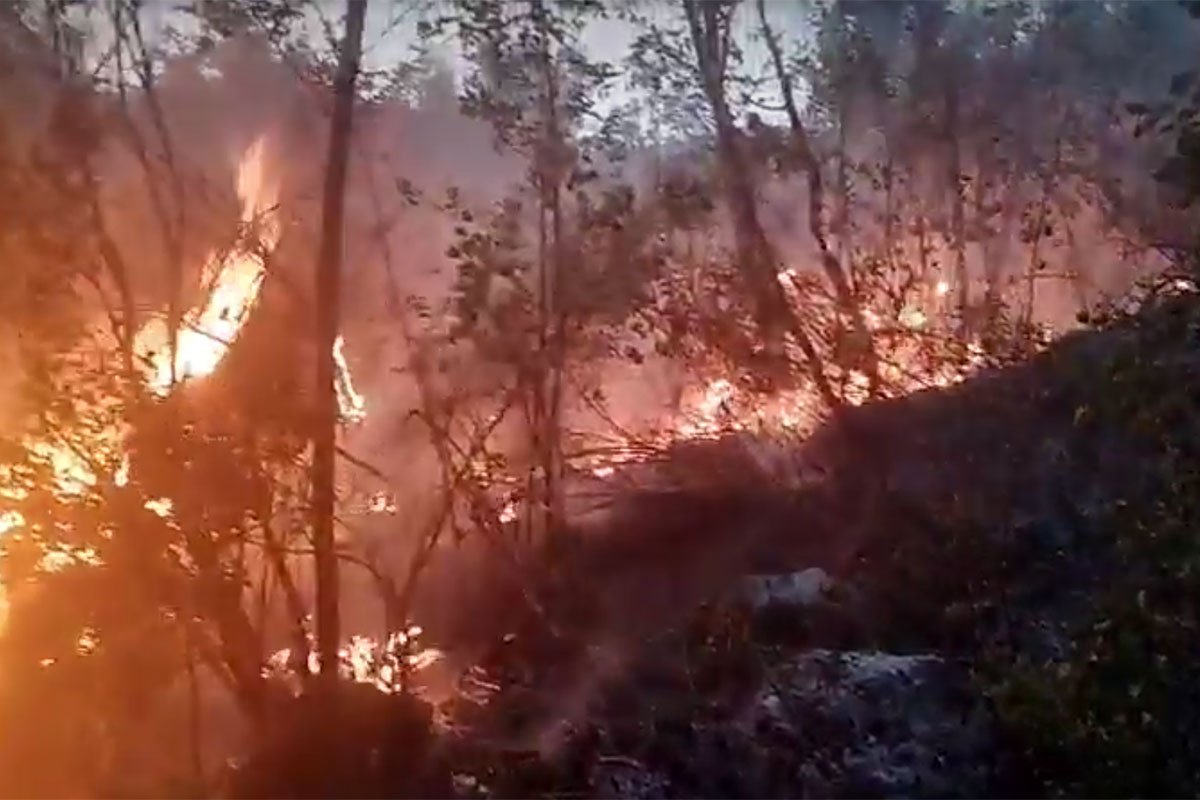 Požari bjesne u Crnoj Gori: Pomozite nam! (VIDEO) | BN