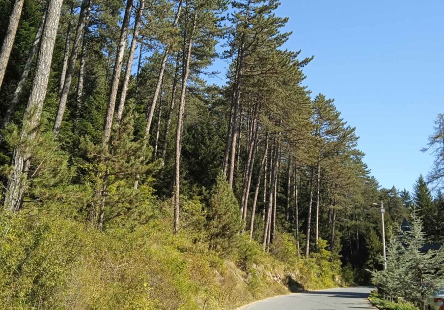 Poznat uzrok smrti muškarca na Trebeviću | BN