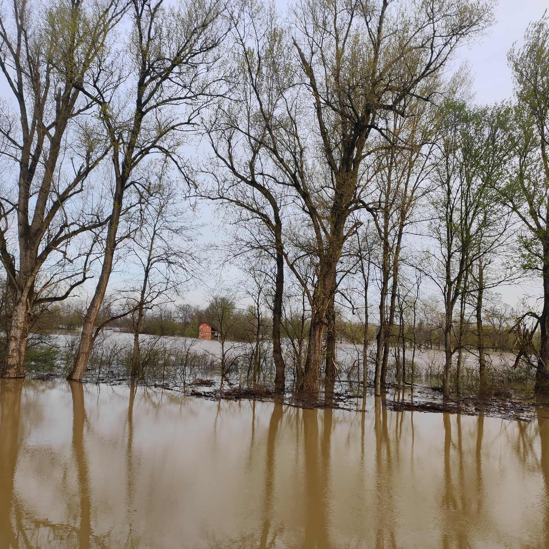Vodostaj rijeke Save u Semberiji u opadanju | BN