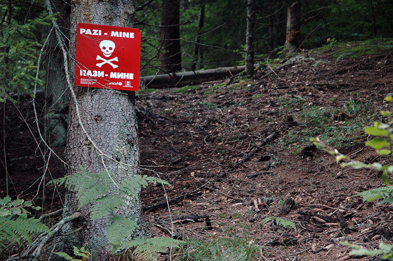 Tragedija kod Doboja: Poginuo mladić dok je čuvao koze | BN