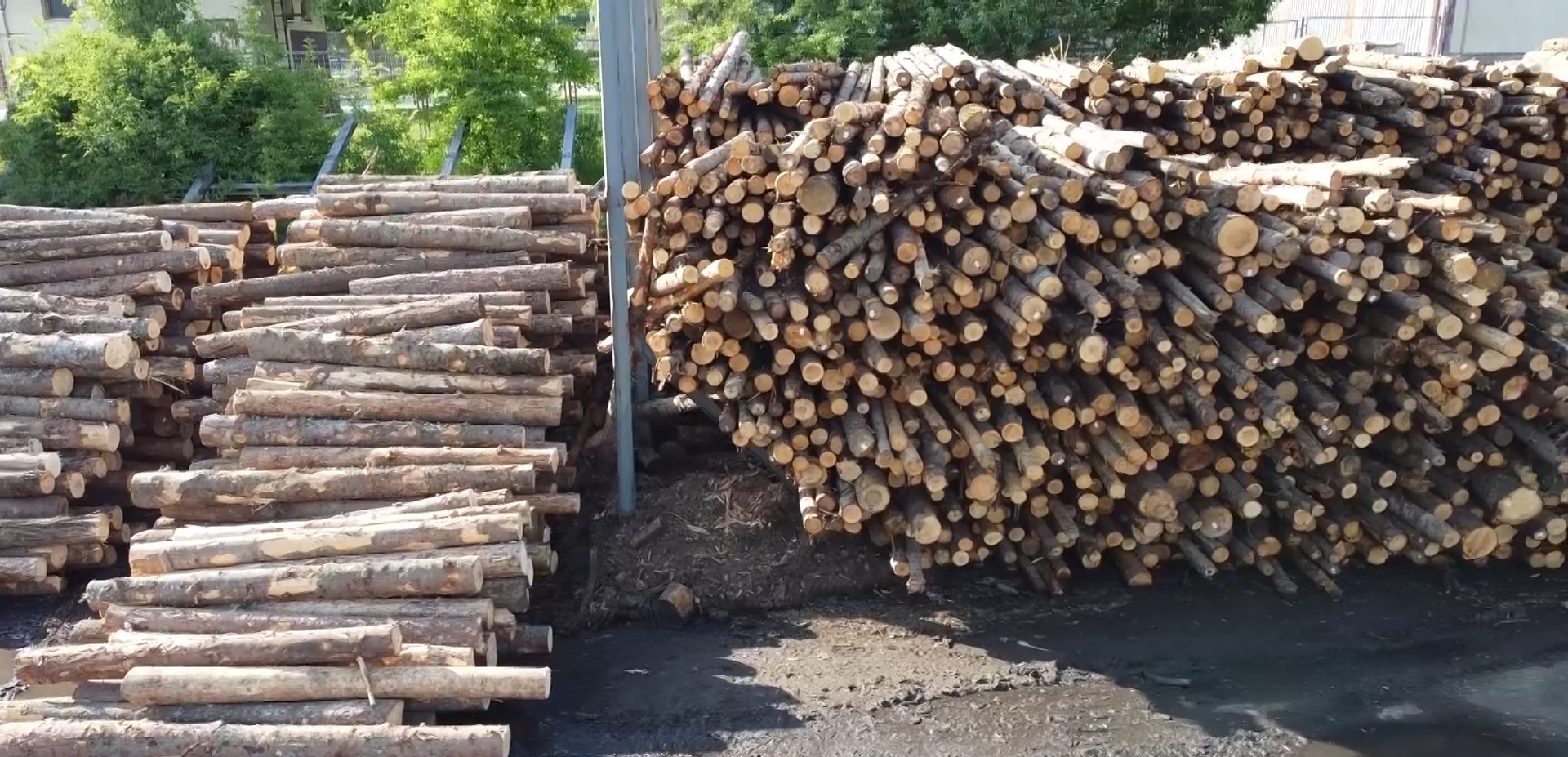 Akcija hapšenja u Hrvatskim šumama zbog korupcije | BN